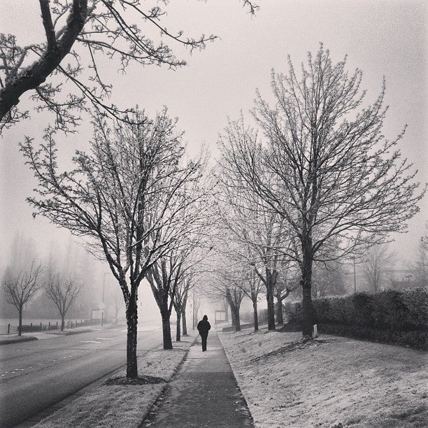 Microsoft Corporation, 1 Microsoft Way, Redmond, WA, Office & Desk ...