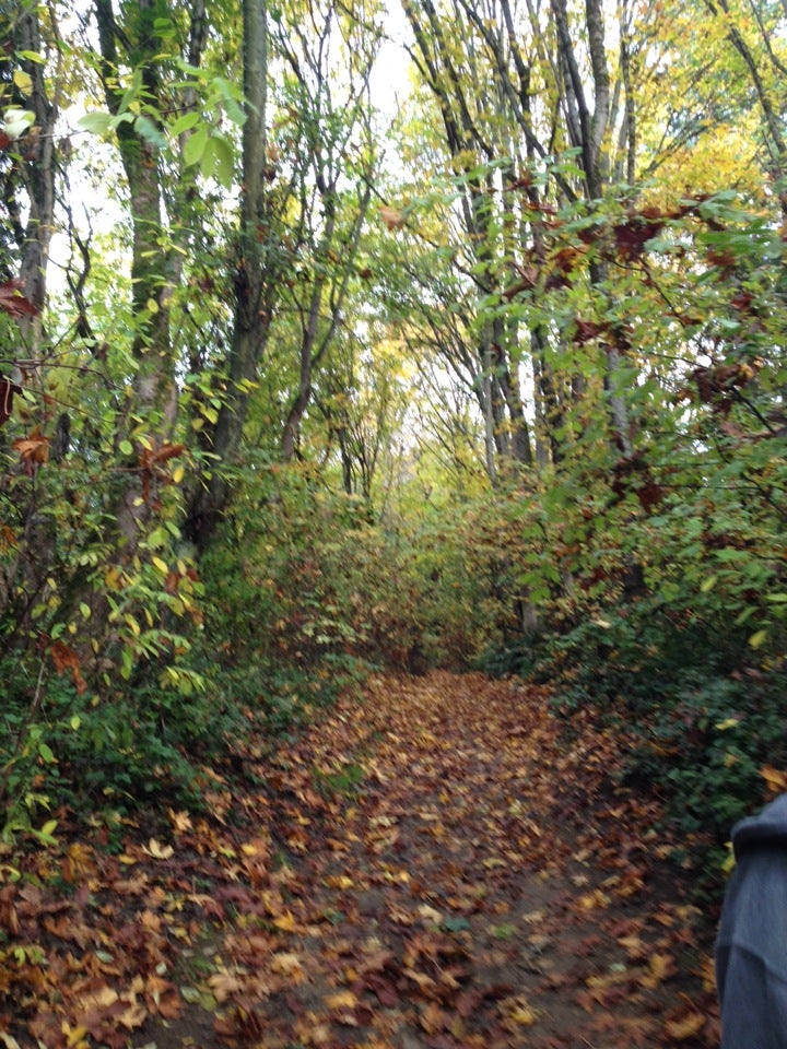 Yarrow Point, WA Map & Directions - MapQuest