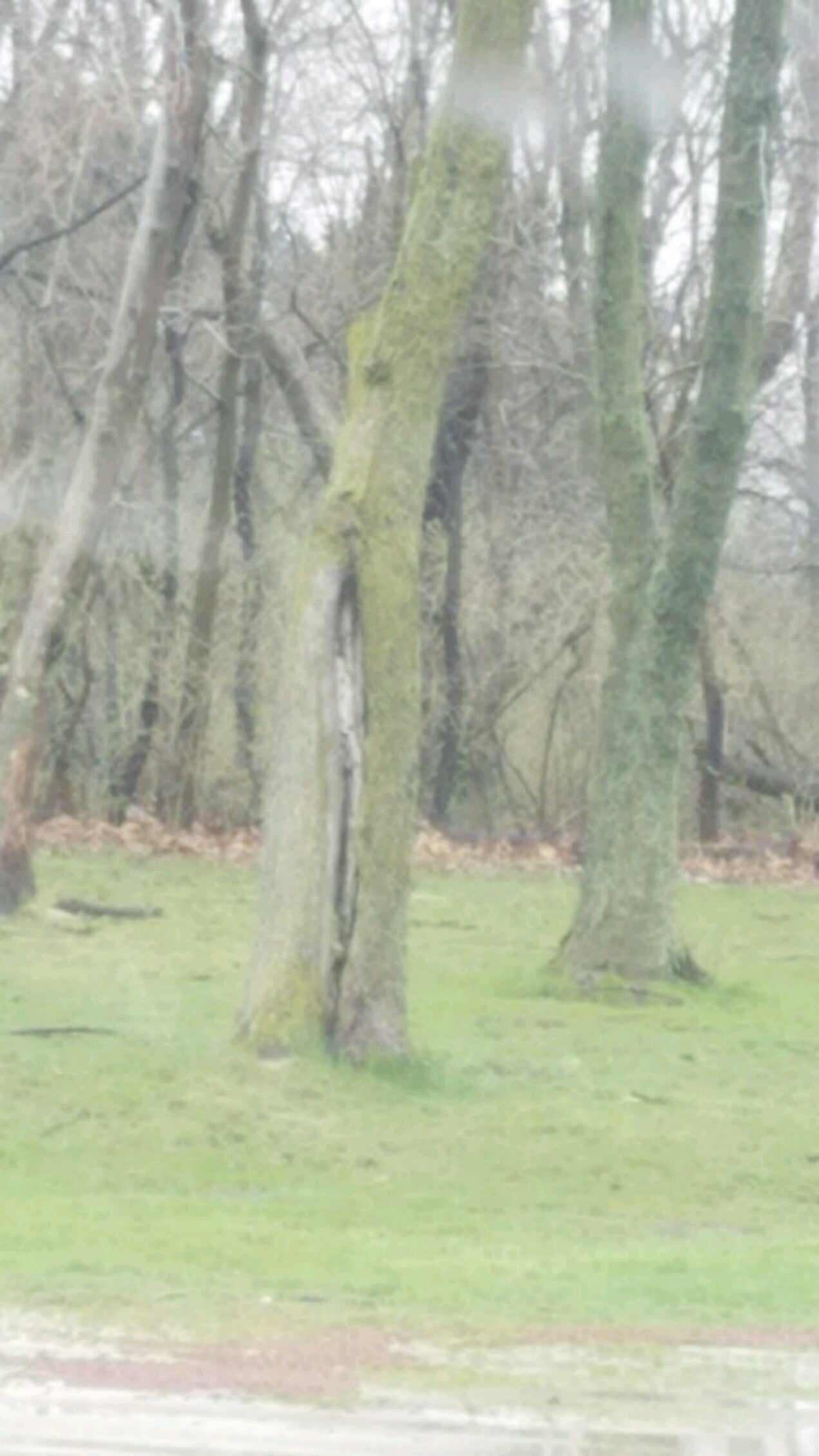 Clifton, IL Map & Directions - MapQuest