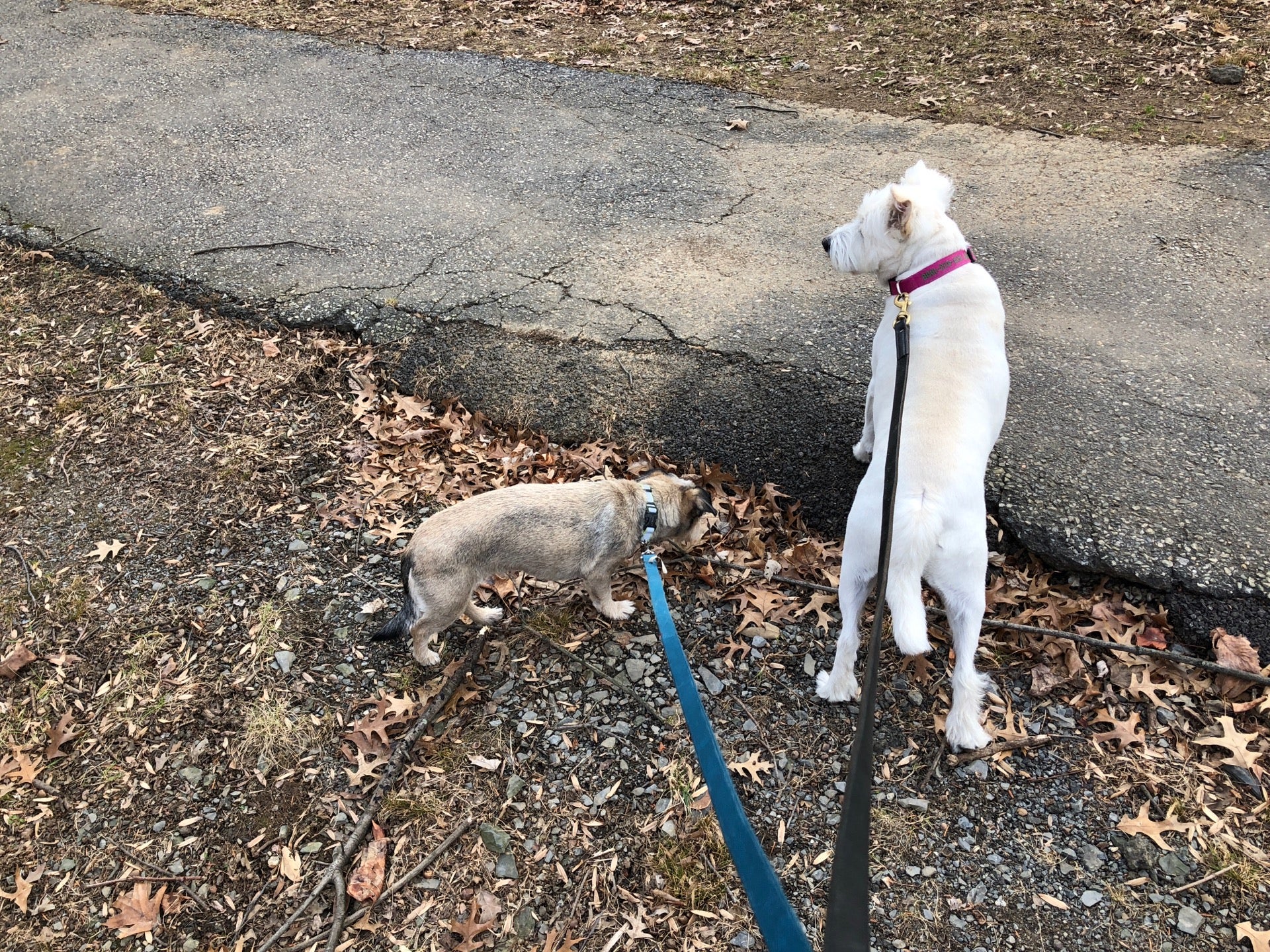 Huntington, MD Map & Directions - MapQuest