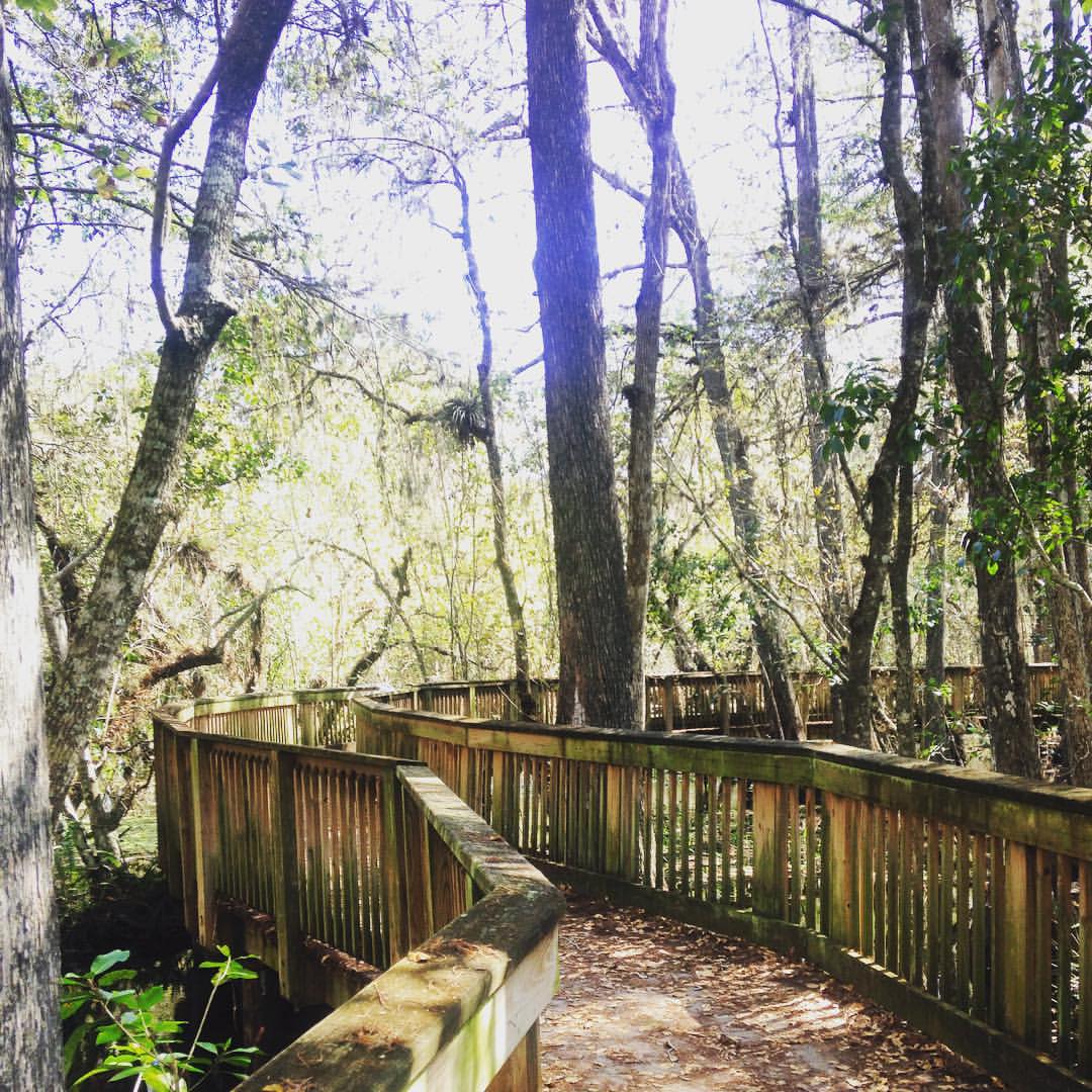 Big Cypress National Preserve-Kirby S Storter Boardwalk, 48900 Tamiami ...