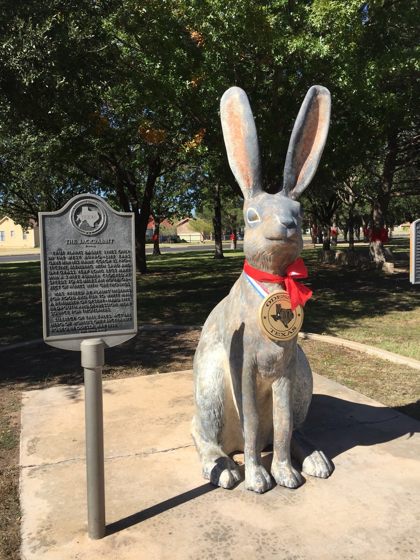 Jack Ben Rabbit, 802 N Sam Houston Ave, Odessa, TX, Outdoor Sports ...
