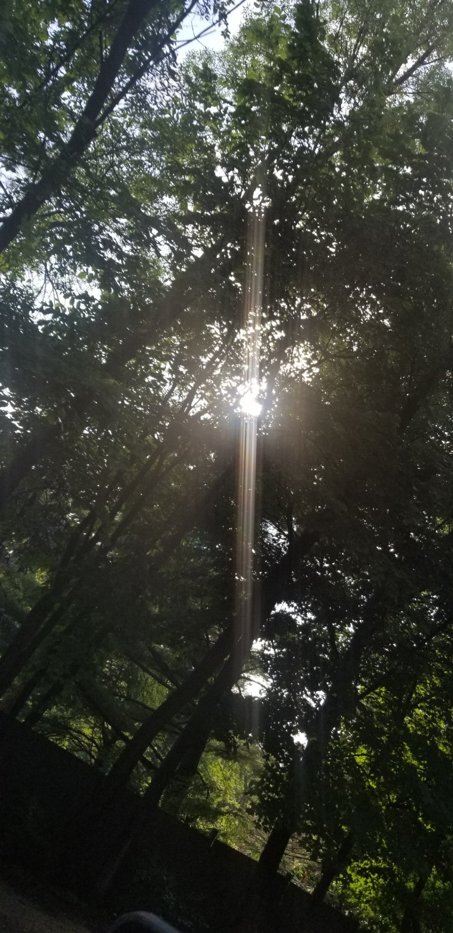 Navarre, MN Map & Directions - MapQuest