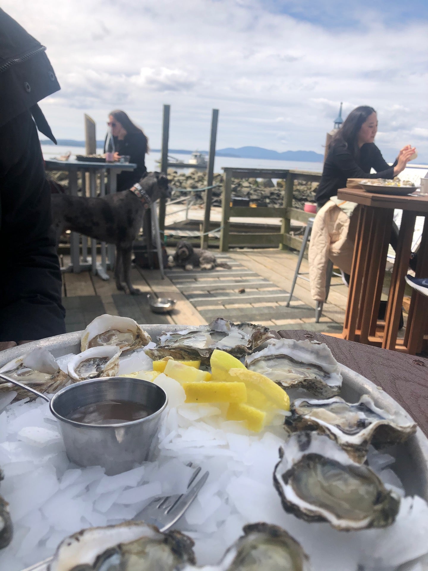 Taylor Shellfish Farms, 2182 Chuckanut Dr, Bow, WA, Food Specialties ...