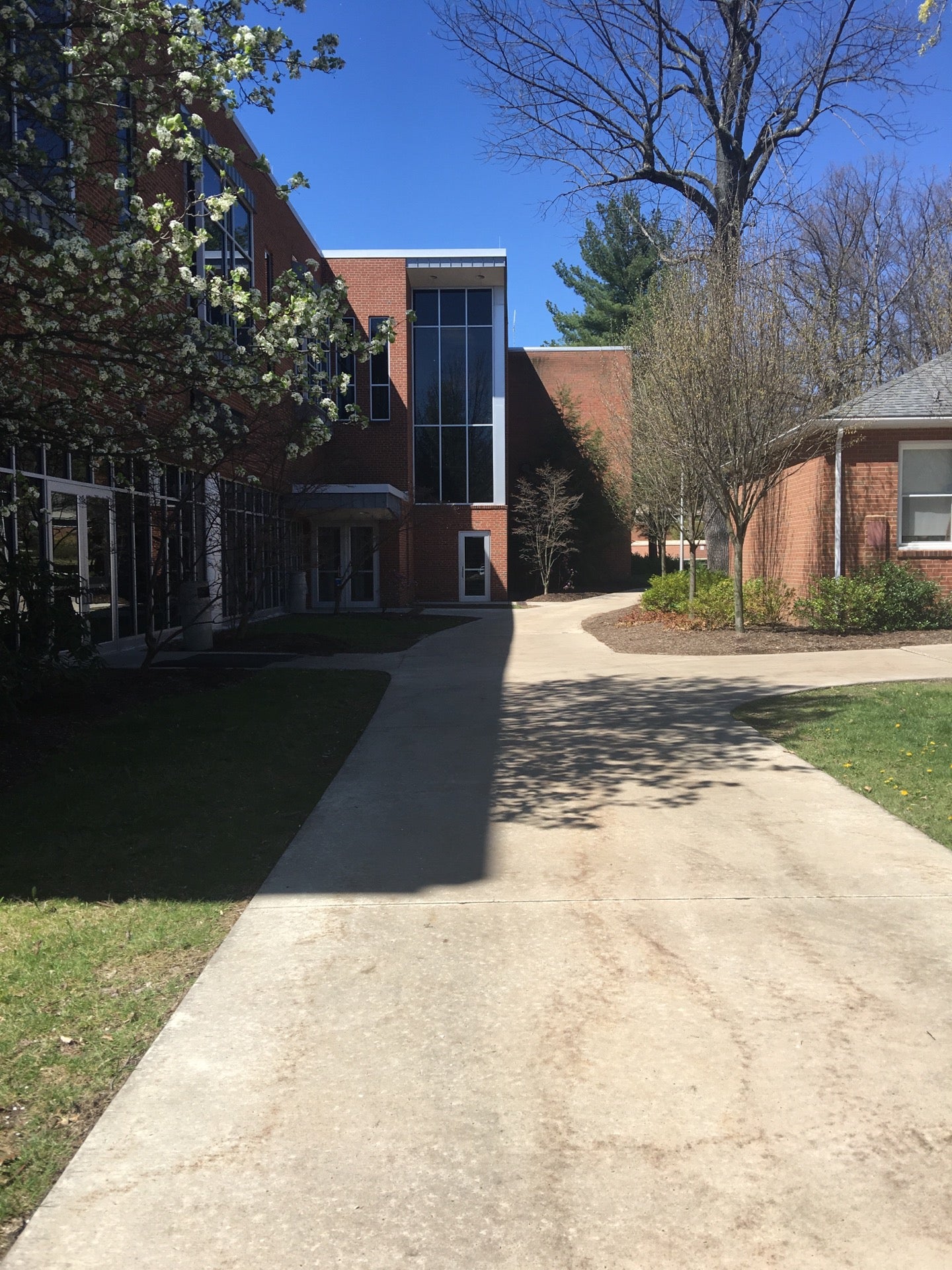 Penn State Altoona Second Degree Nursing Program, Grandview Rd, Logan ... Penn State Altoona Second Degree Nursing Program, Grandview Rd, Logan ...