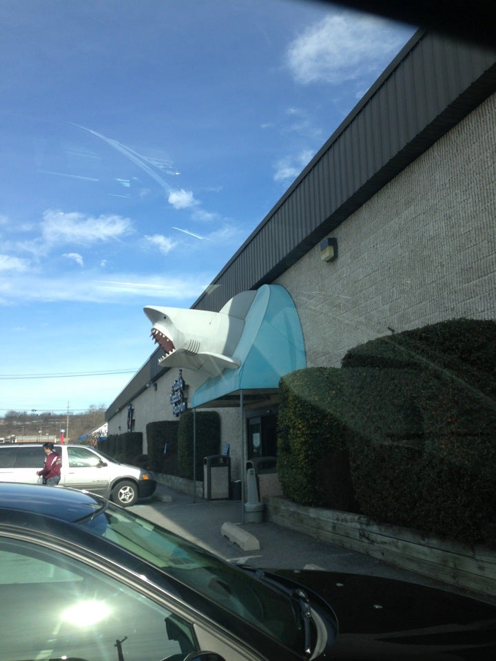 That Fish Place - That Pet Place, 237 Centerville Rd, Lancaster, PA ...