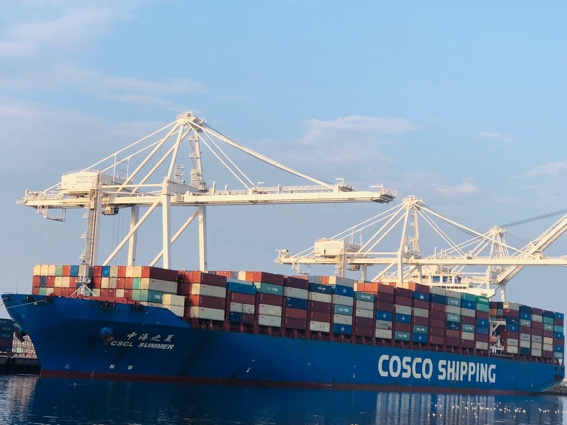 Cosco Container Lines Americas, Terminal, 588 Harbor Scenic Way, Long ...