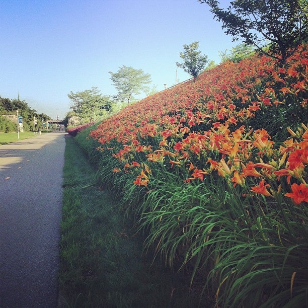 Dequindre Cut, Detroit, MI - MapQuest