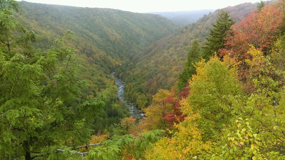 Pendleton Point Overlook, Blackwater Falls Rd, Davis, WV - MapQuest