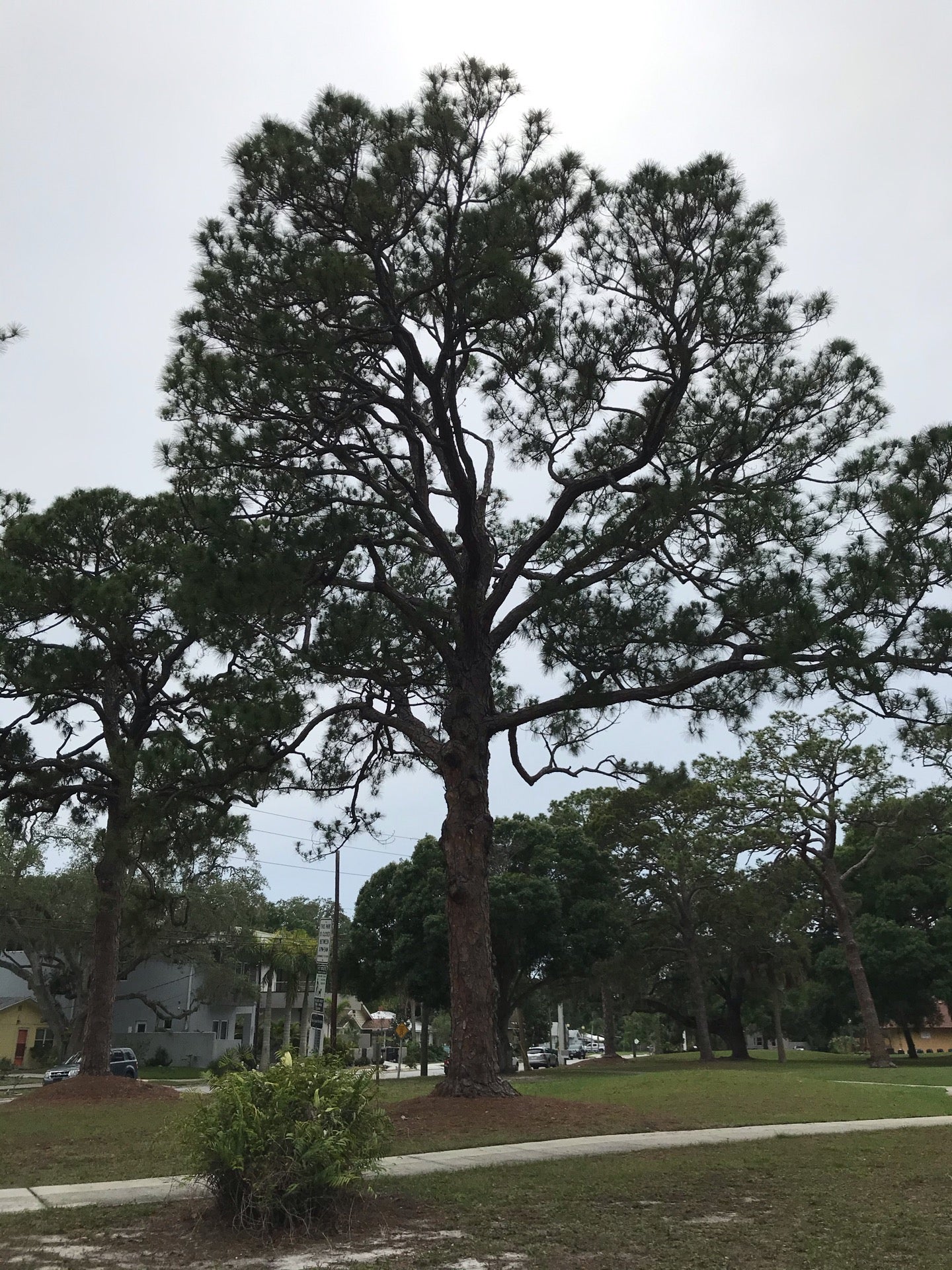 Newtown Estates Park, 2800 Newtown Blvd, Sarasota, FL, Parks - MapQuest