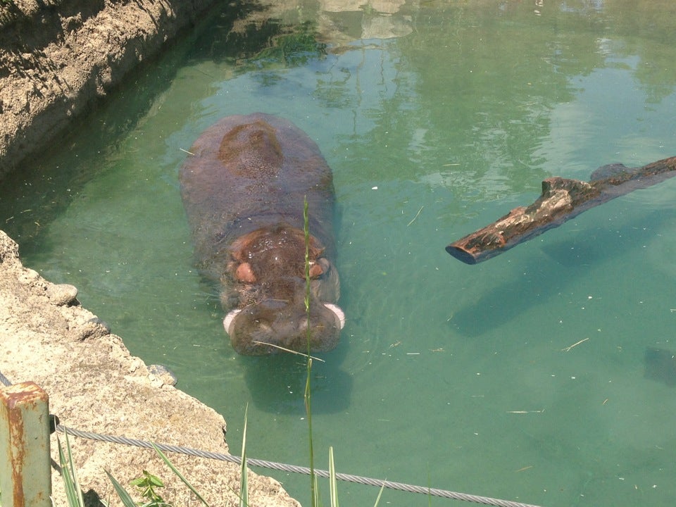 Toronto Zoo, 2000 Meadowvale Rd, Toronto, ON - MapQuest