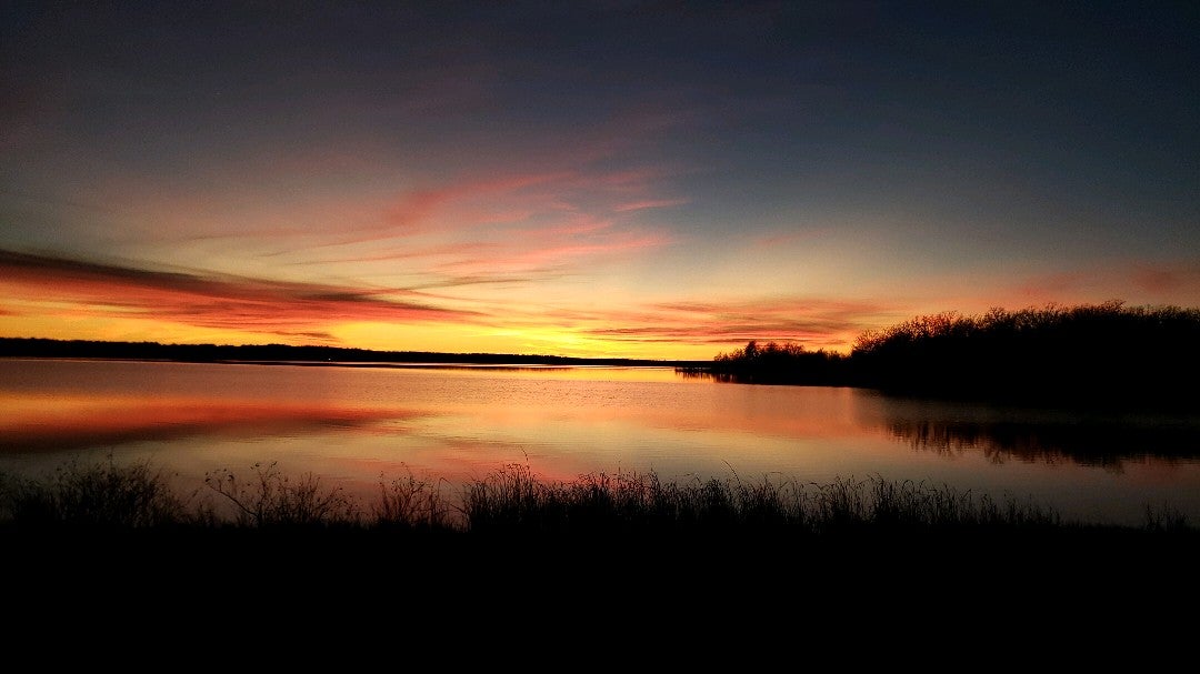 Pat Mayse Camp West, Pat Mayse W Park Rd, Arthur City, TX - MapQuest