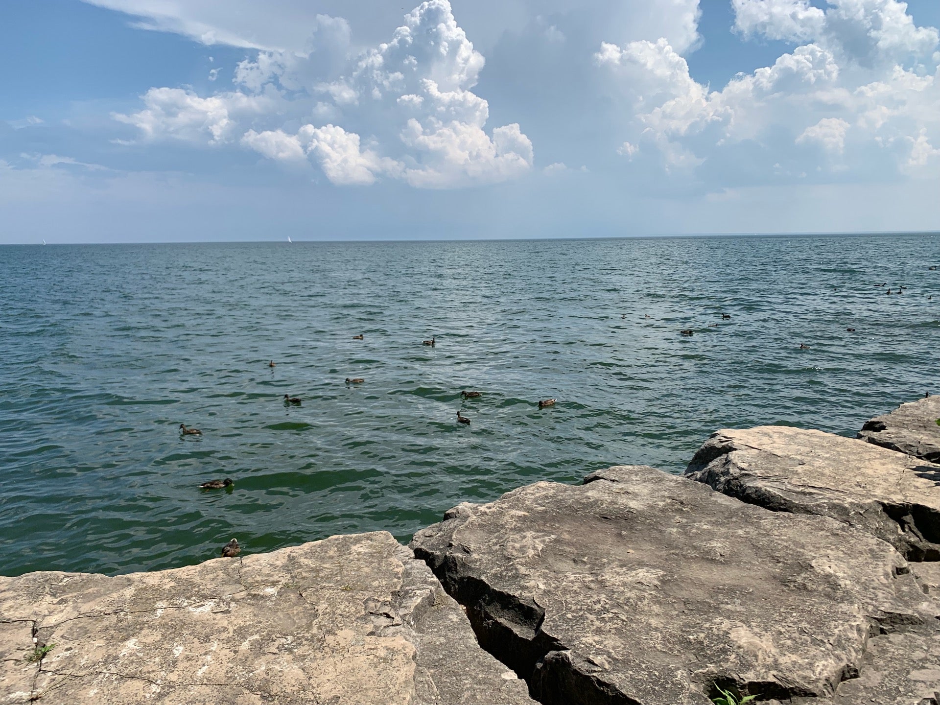 Adamson Estate, 850 Enola Ave, Mississauga, Ontario - MapQuest