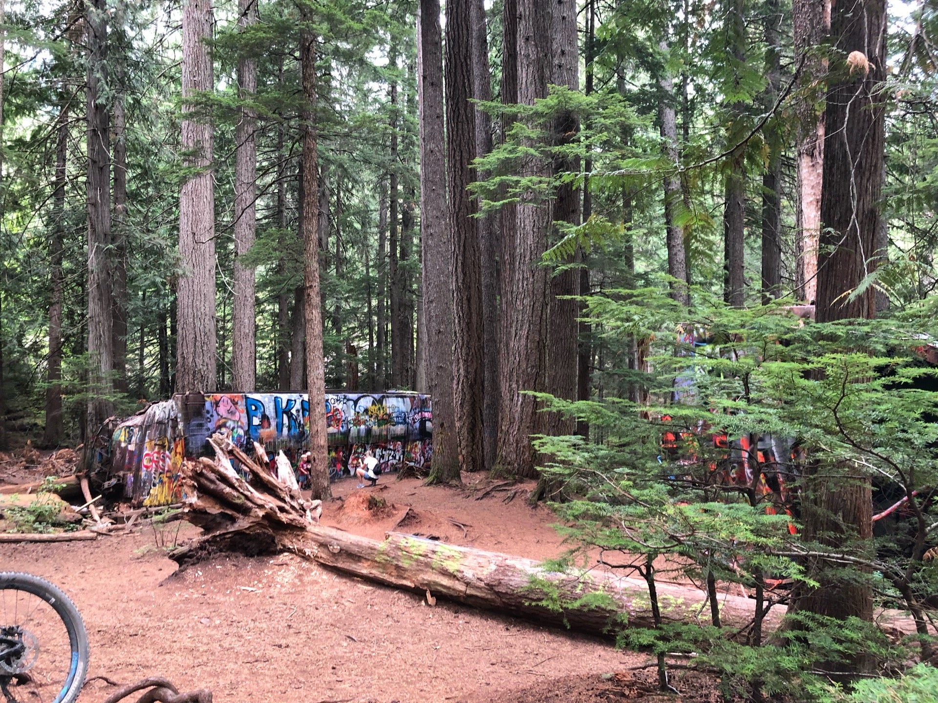 The Whistler Train Wreck Trail, Alpha Lake Rd, Whistler, British ...