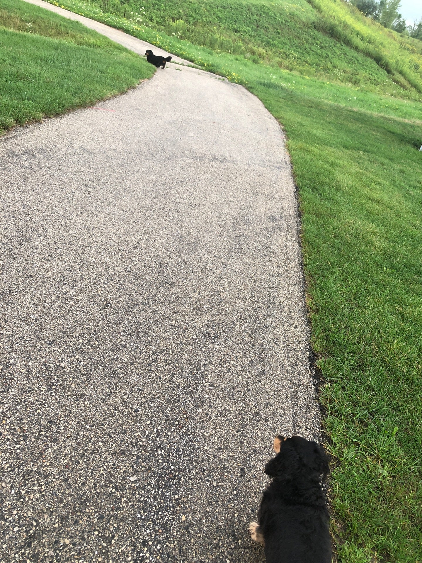 Park Arthur, S63W17601 College Ave, Muskego, WI - MapQuest