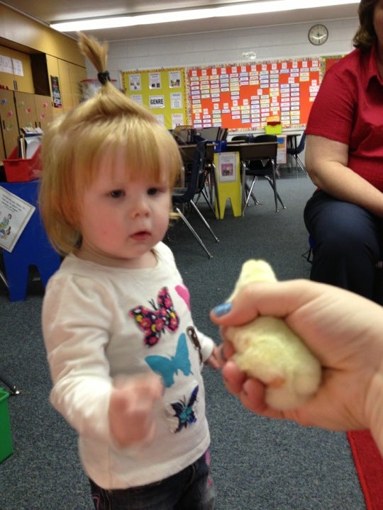 Homer Iddings Elementary School, 7249 Van Buren St, Merrillville, IN ...