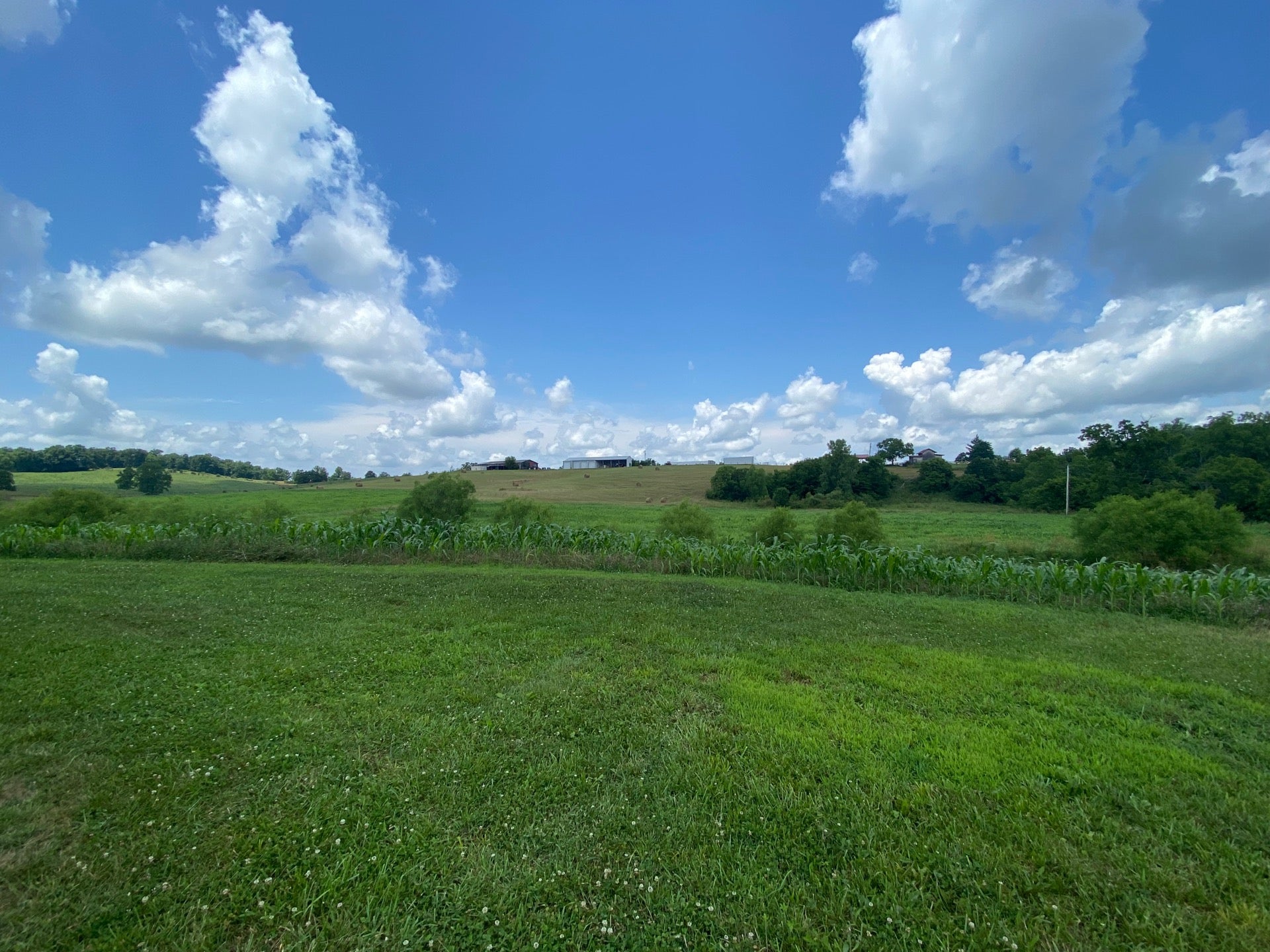 Bagdad, KY Map & Directions - MapQuest