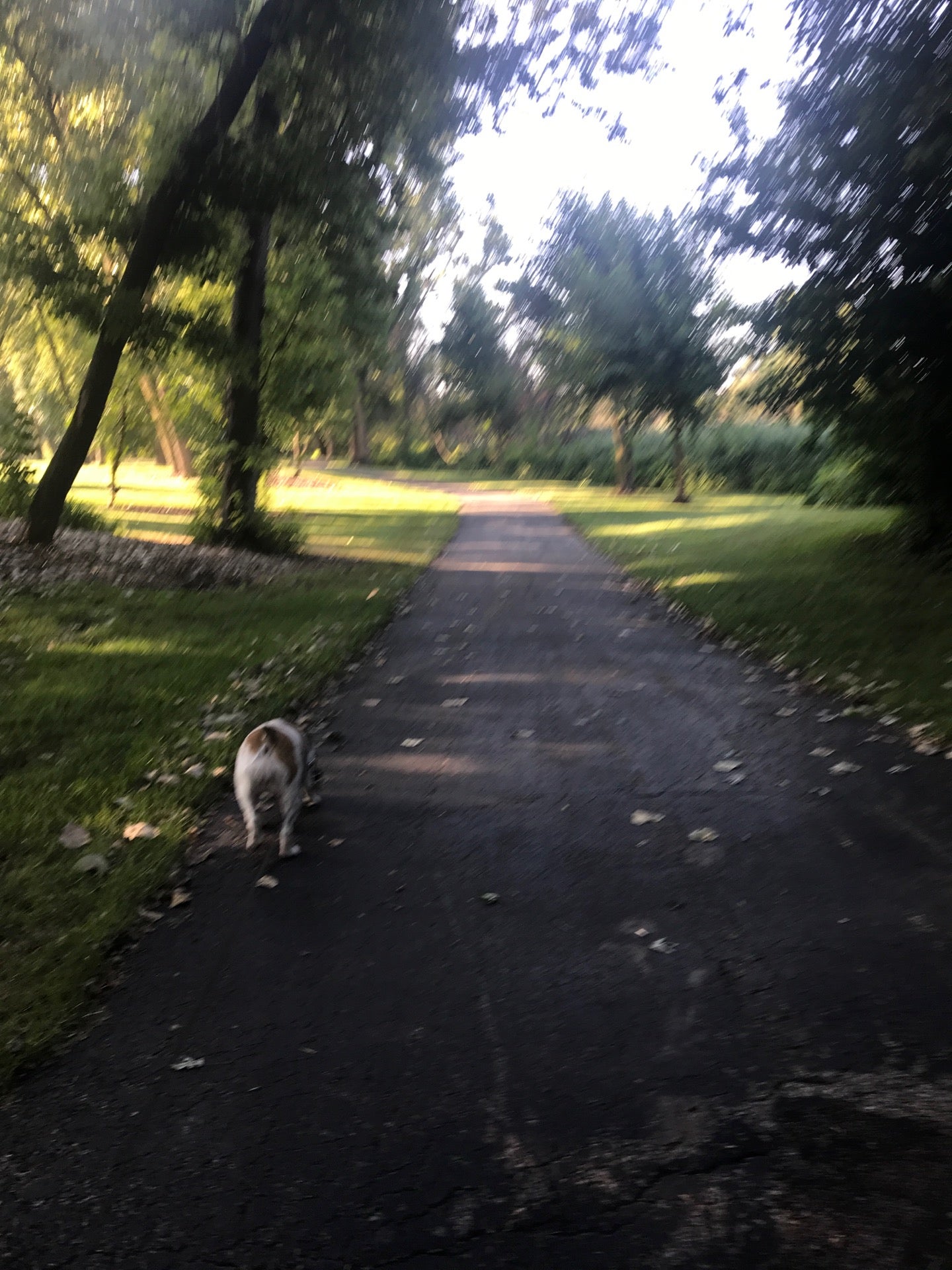 Alsip, IL Map & Directions - MapQuest