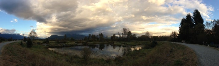 Jerry Sulina Park, 210 St, Maple Ridge, BC - MapQuest
