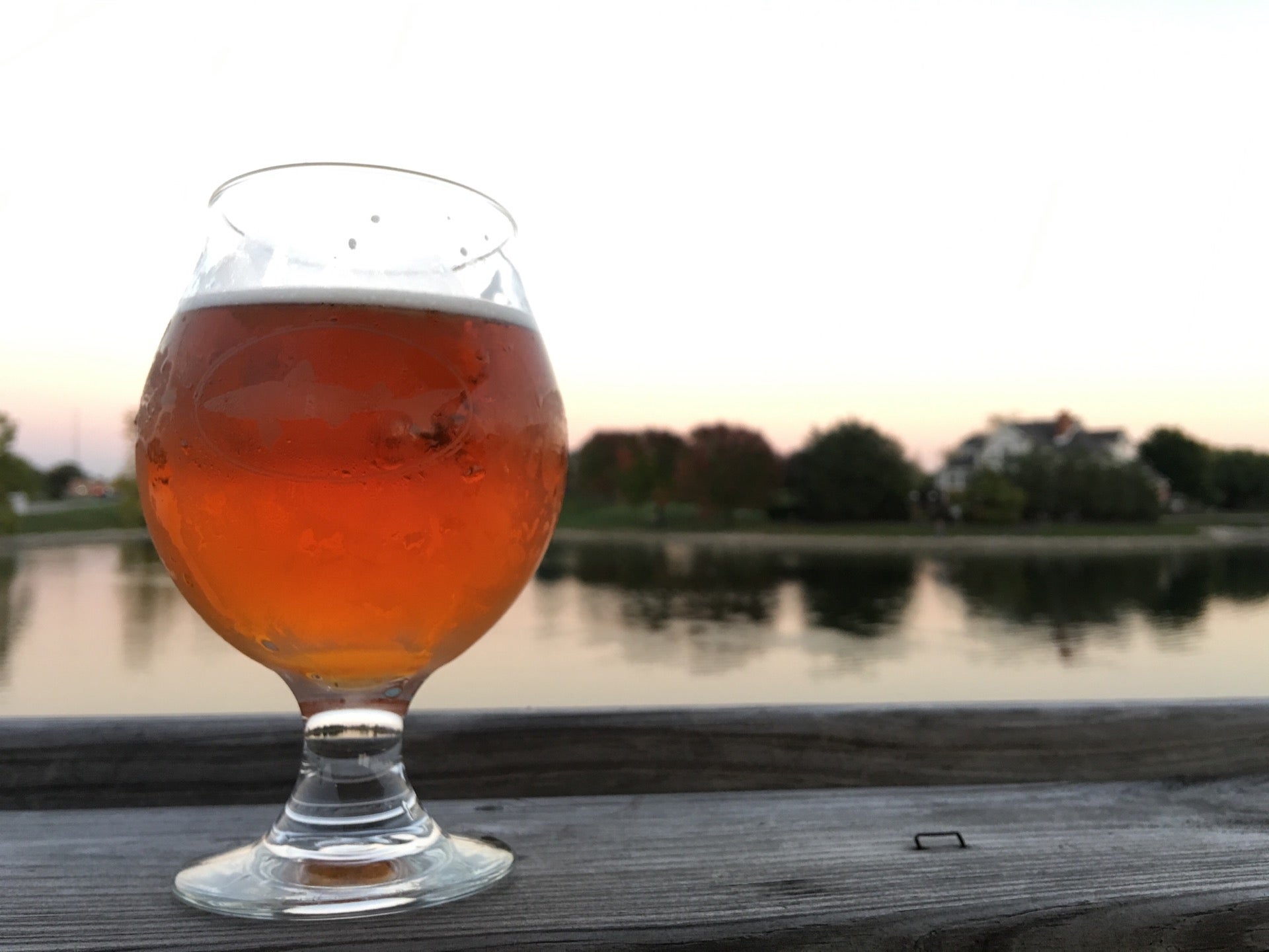 Mucky Duck · Pub · Indianapolis, Indiana