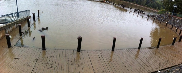 People Tree, Columbia, MD - MapQuest