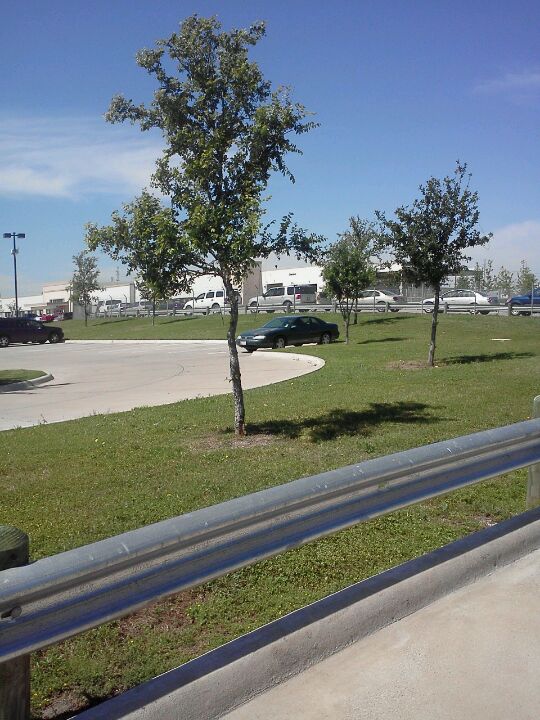 Adesa Dallas, 3501 Lancaster Hutchins Rd, Hutchins, TX, Auctioneers ...