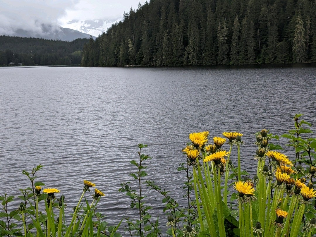 Auke Lake Trail, 10903 Glacier Hwy, Juneau, AK, Trail - MapQuest