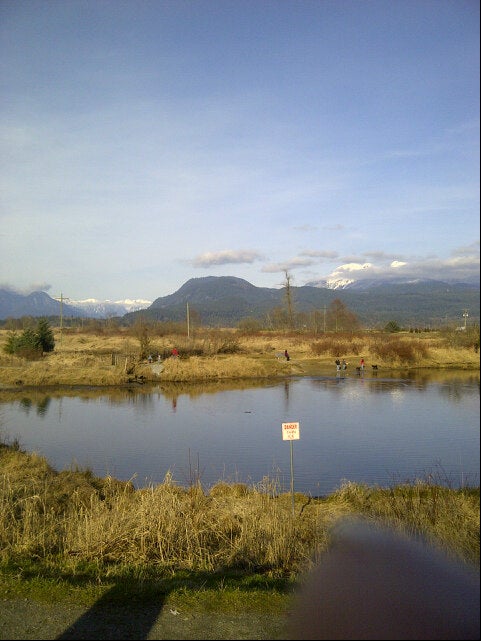 Jerry Sulina Park, 210 St, Maple Ridge, BC - MapQuest