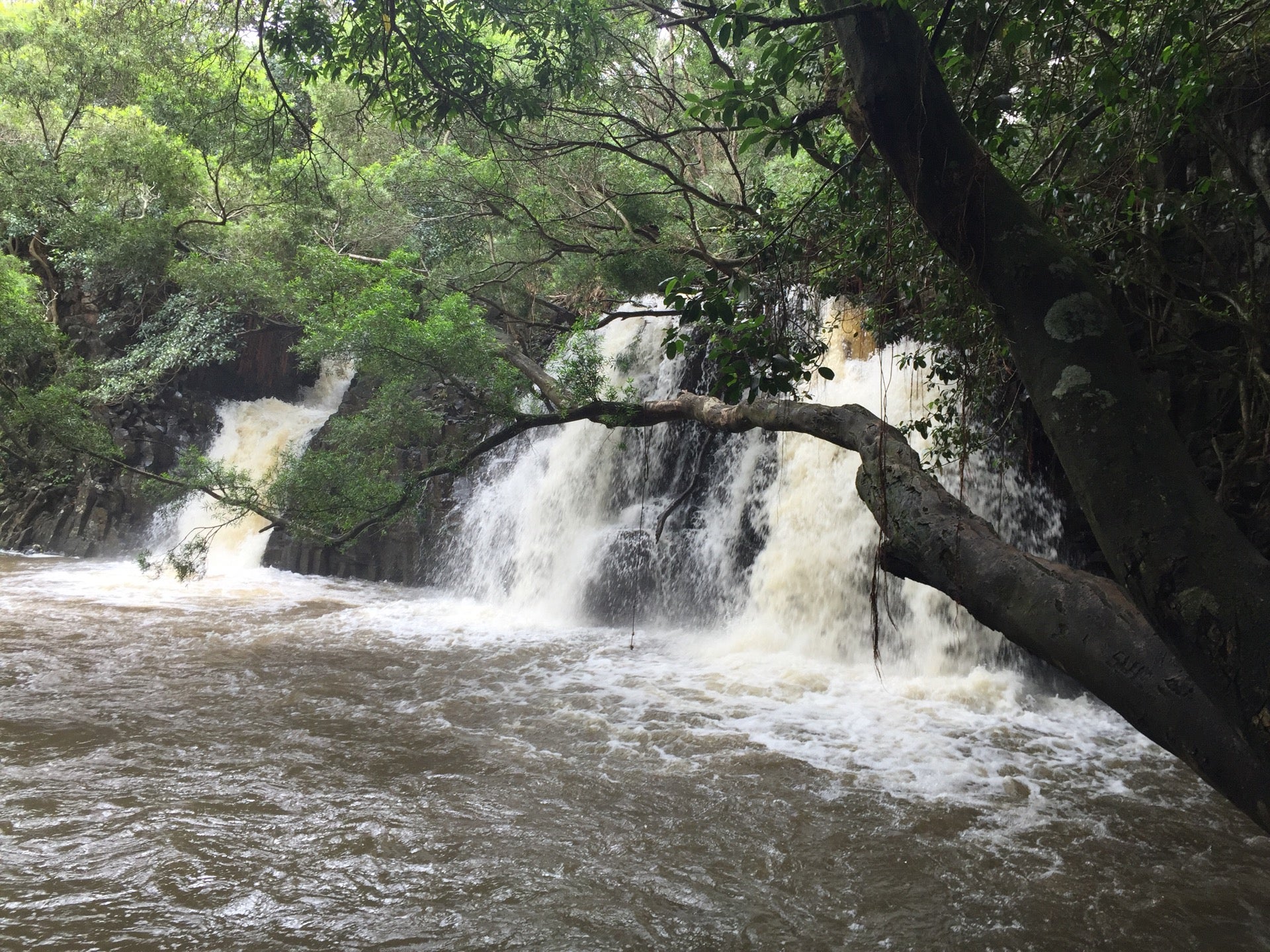 Hike Maui Waterfalls and Rain Forest, Kahului, HI - MapQuest
