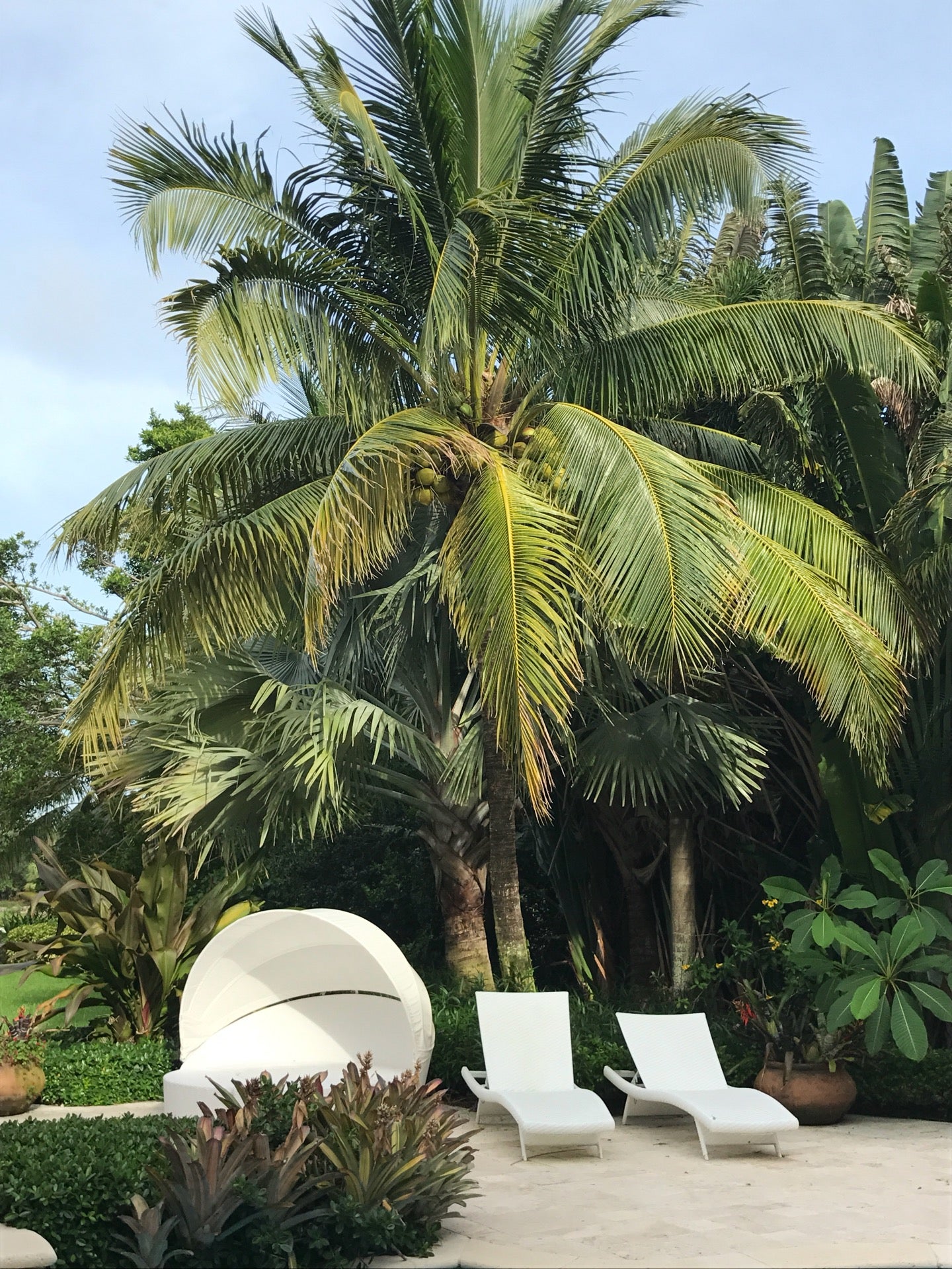 Prosperity Farms, Palm Beach Gardens, FL - MapQuest