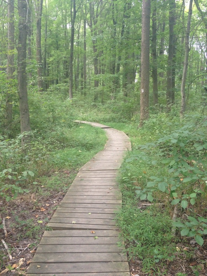 Lawrence Township, NJ Map & Directions - MapQuest