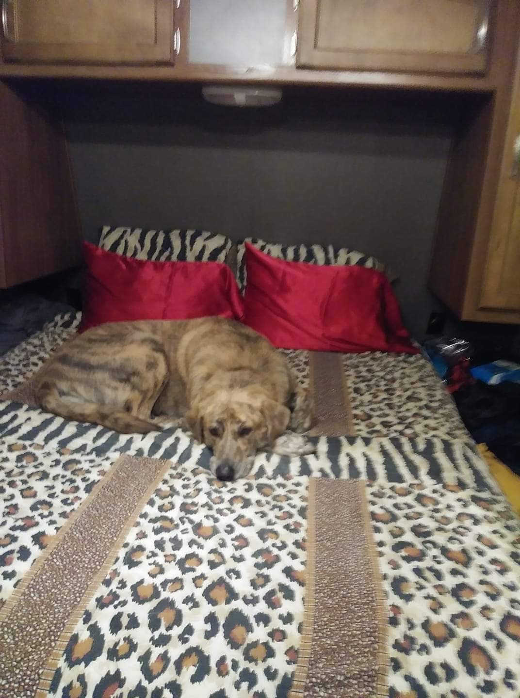 Nas JAX RV Park, Birmingham Ave, Jacksonville, FL - MapQuest