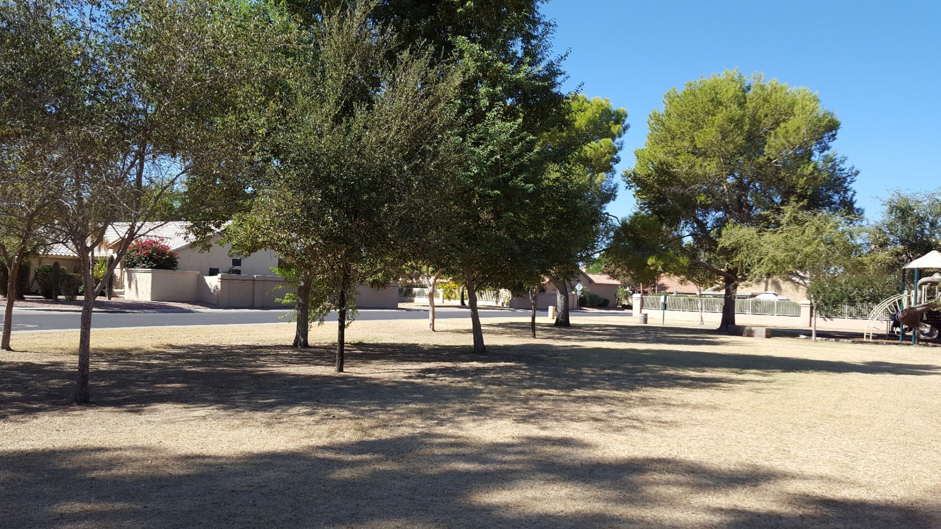 Anderson springs park, Chandler, AZ, Parks - MapQuest