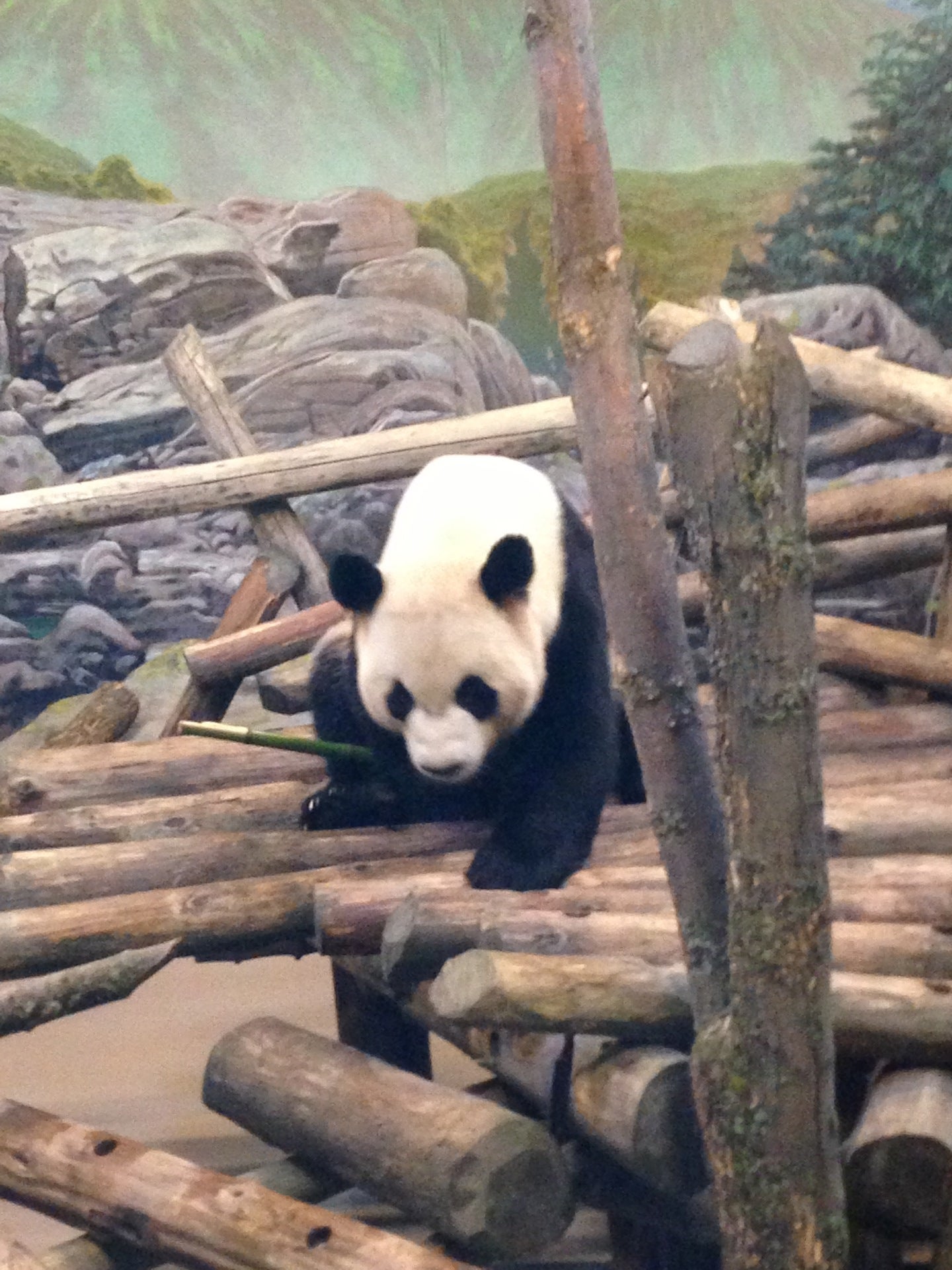 Toronto Zoo, 2000 Meadowvale Rd, Toronto, ON - MapQuest