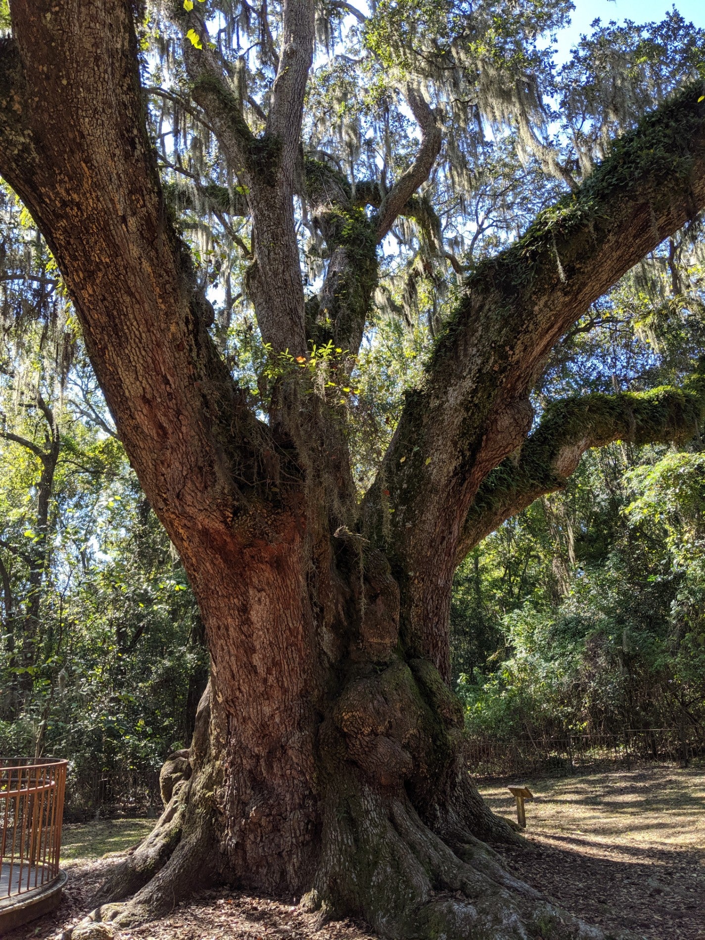 Spanish Fort, AL Map & Directions - MapQuest