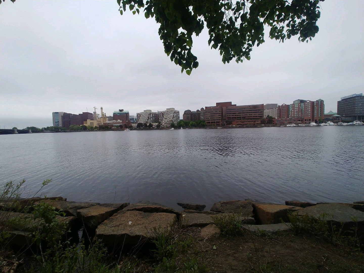 Running The Charles River, 1 David G Mugar Way, Boston, MA - MapQuest