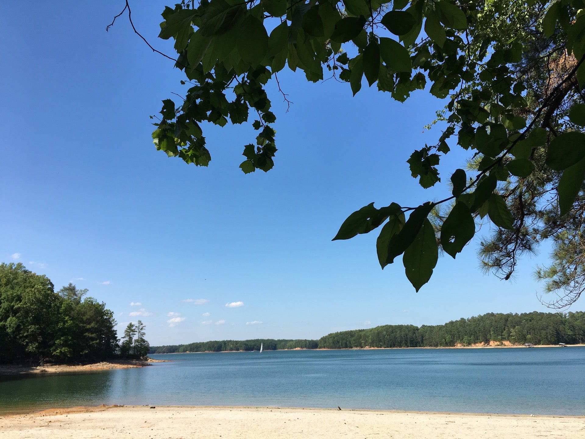 Buford Dam Beach, Buford, GA, Beach - MapQuest