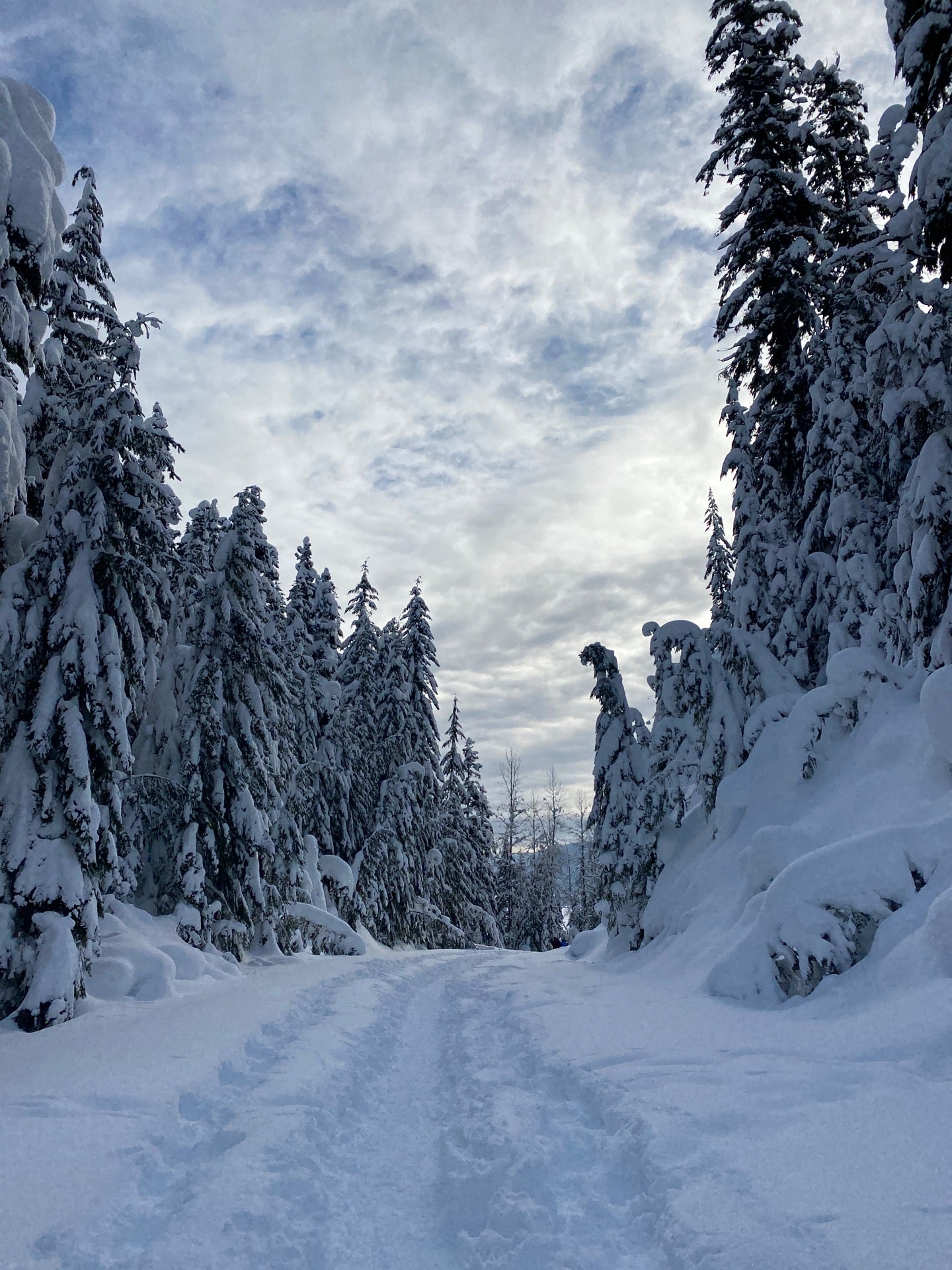 Hyak Trailhead - Iron Horse Trail, WA-906, Snoqualmie Pass, WA, Outdoor ...