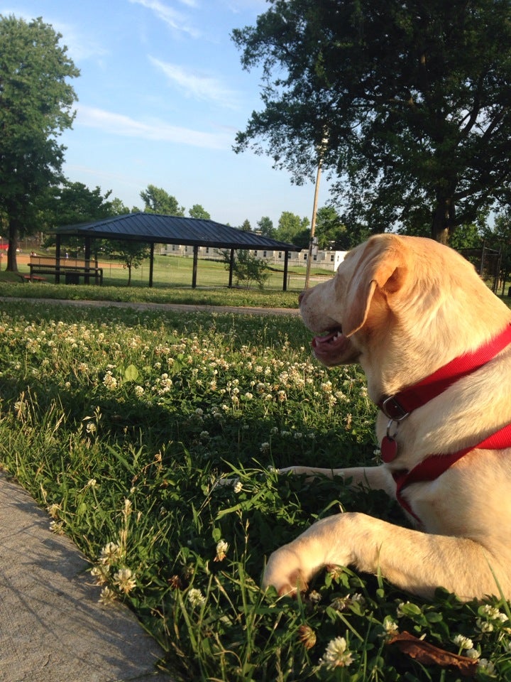 Cardinal Run Park, KY-1968, Lexington, KY - MapQuest
