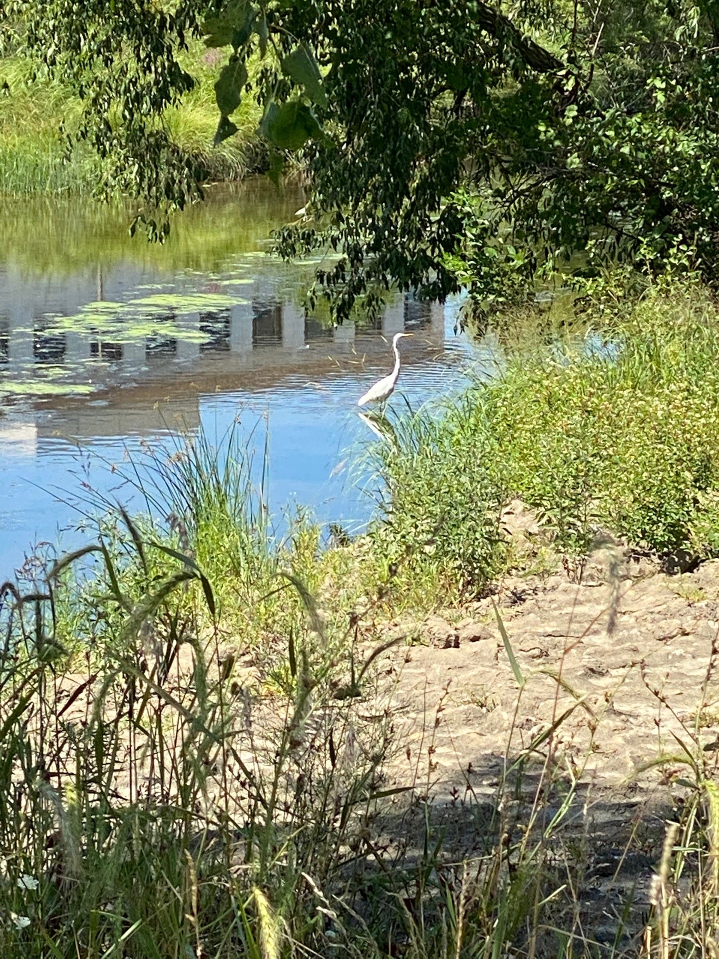 Techny Basin Conservation Area, Glenview, IL, Landmark - MapQuest