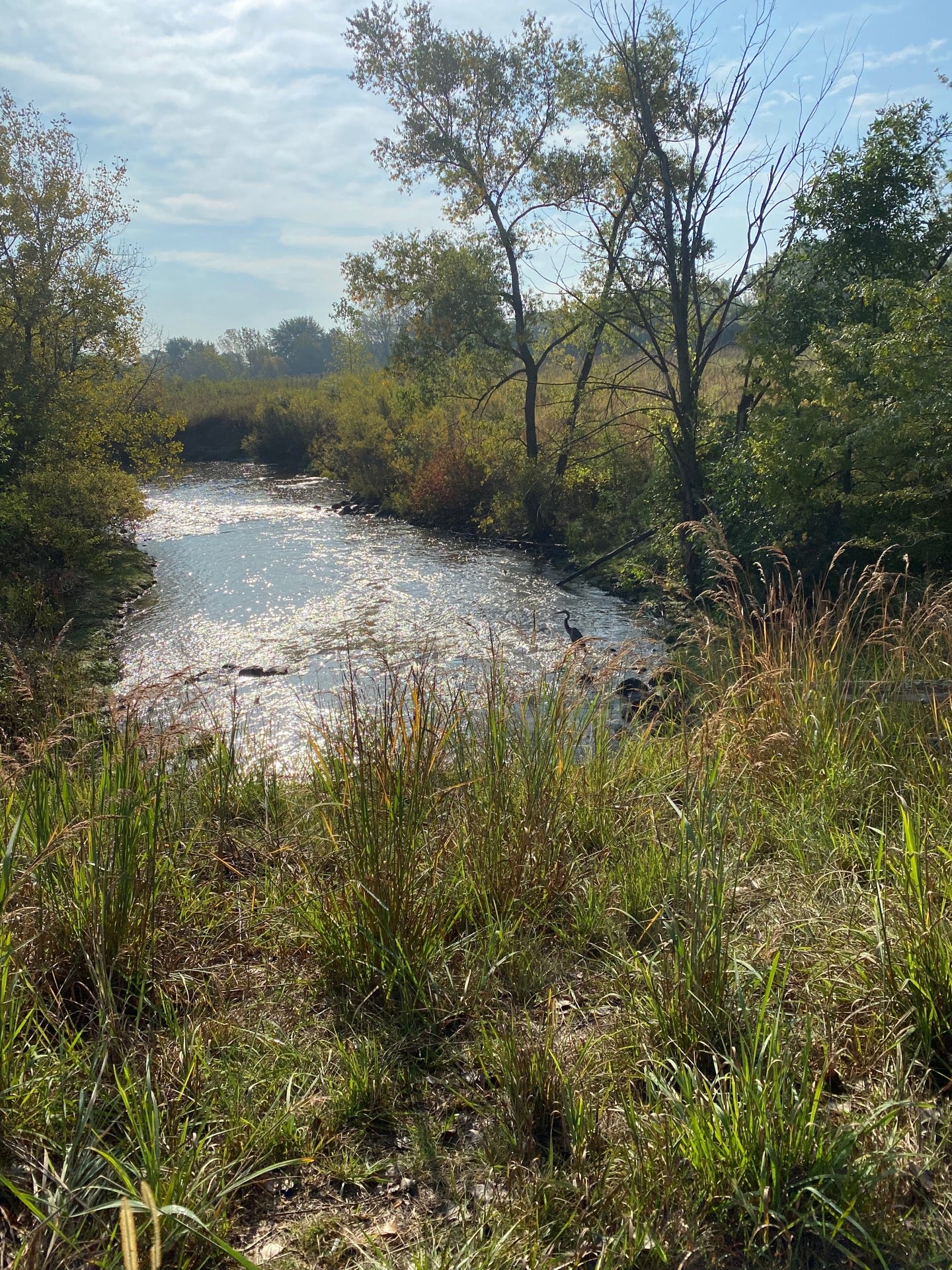 Techny Basin Conservation Area, Glenview, IL, Landmark - MapQuest