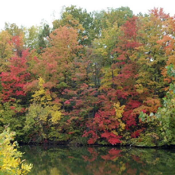 Willis, MI Map & Directions - MapQuest