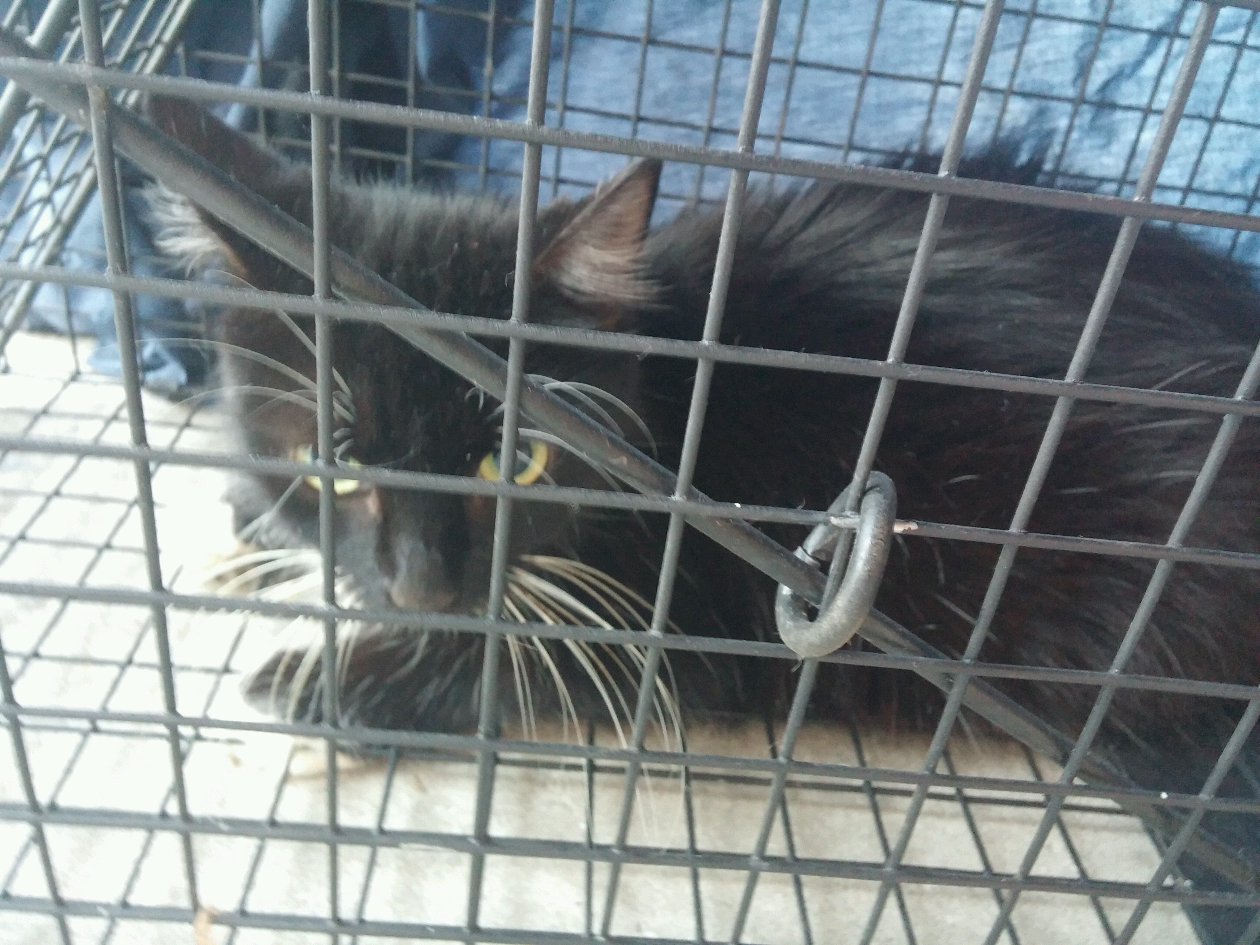 Alachua County Humane Society, 4205 NW 6th St, Gainesville, FL - MapQuest