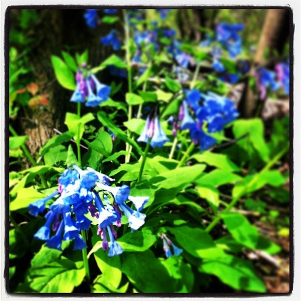 Hiltons, VA Map & Directions - MapQuest