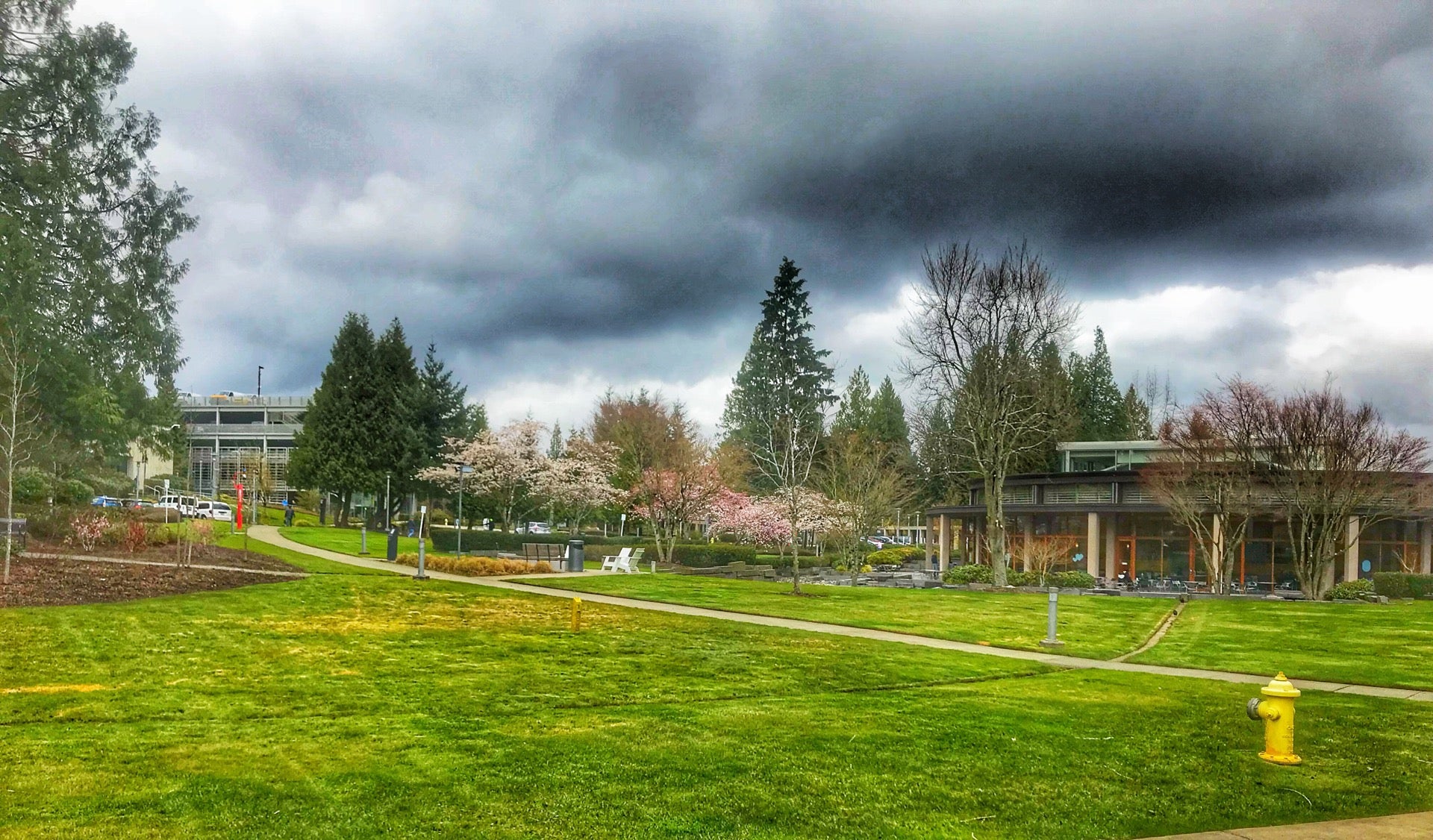 Microsoft Building 83, 4480 154th Pl NE, Redmond, WA, Business Services ...