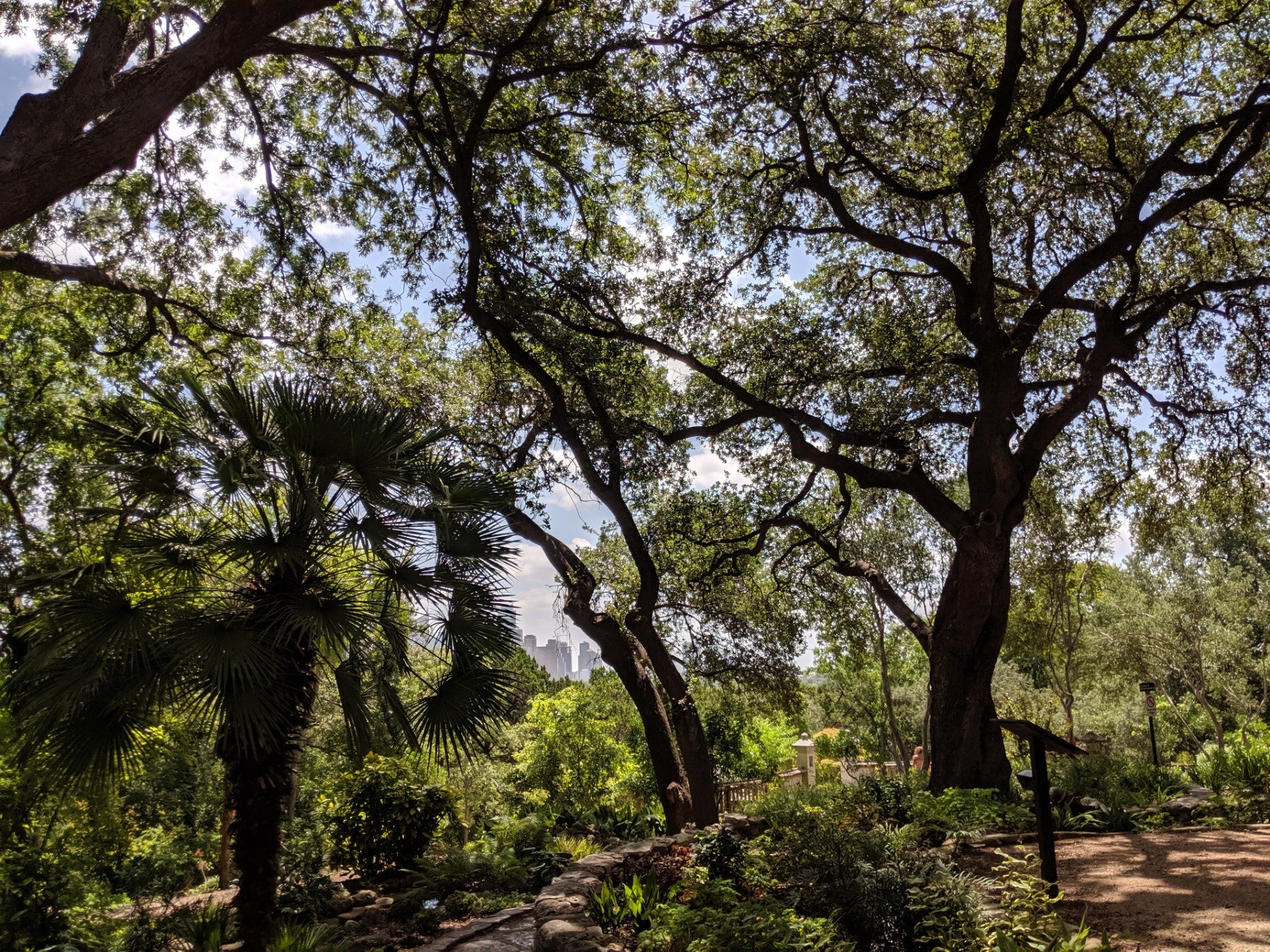 Isamu Taniguchi Oriental Garden, Austin, TX, Gardens - MapQuest