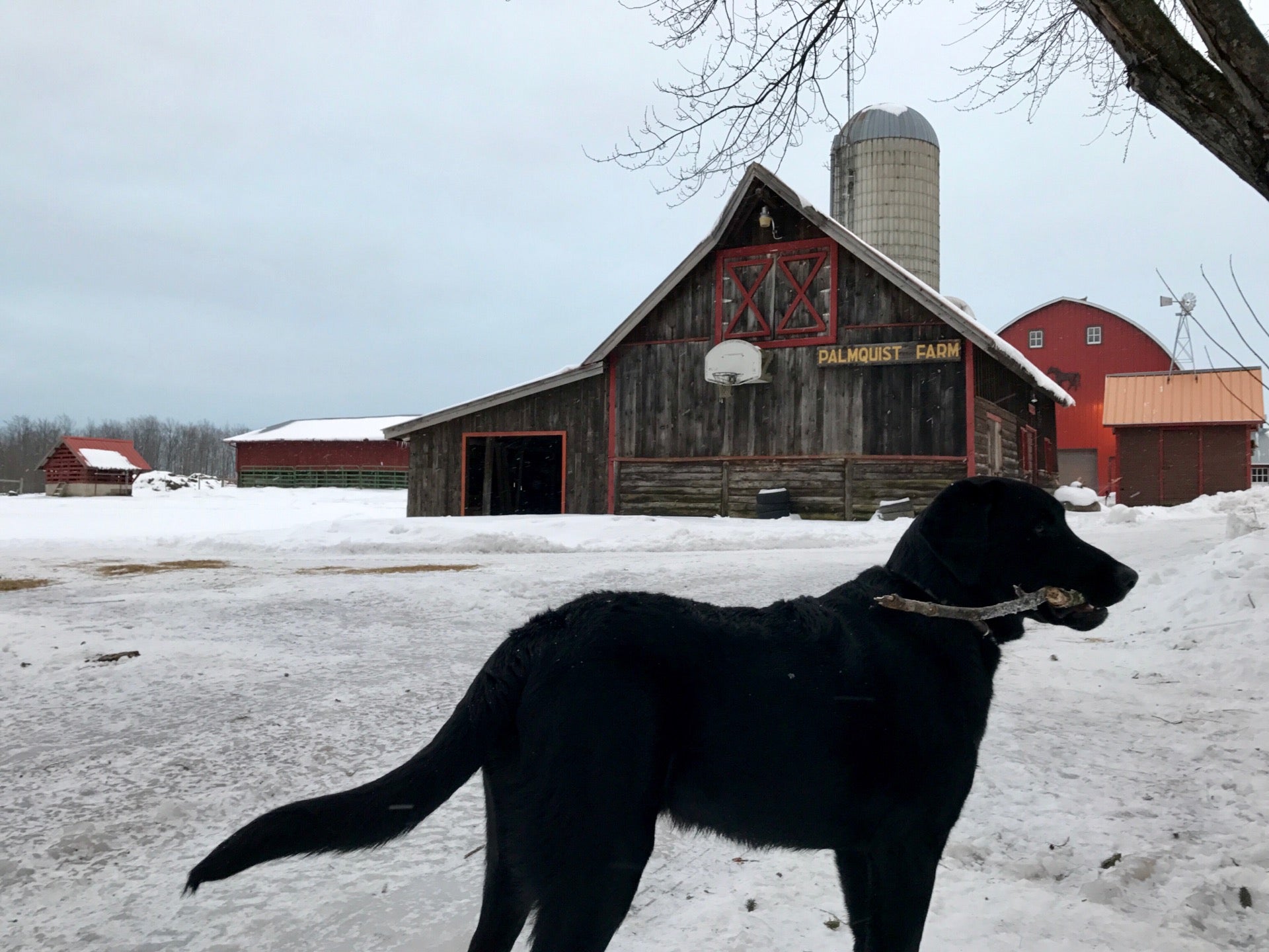 Prentice, WI Map & Directions - MapQuest