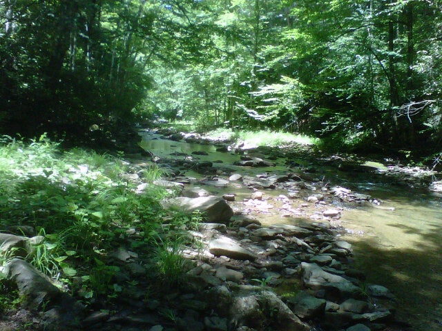 Camp Creek State Park & Forest, 2390 Camp Creek Rd, Camp Creek, WV ...