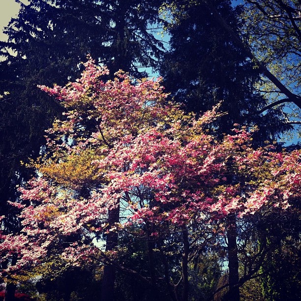 Butz Hall, Cedar Crest, Allentown, PA, Colleges & Universities - MapQuest