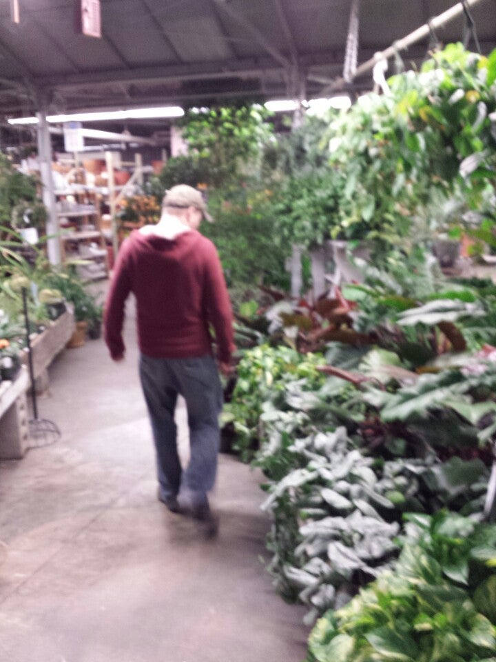 Flowerland, 4321 28th St SE, Kentwood, MI, Garden Centers - MapQuest